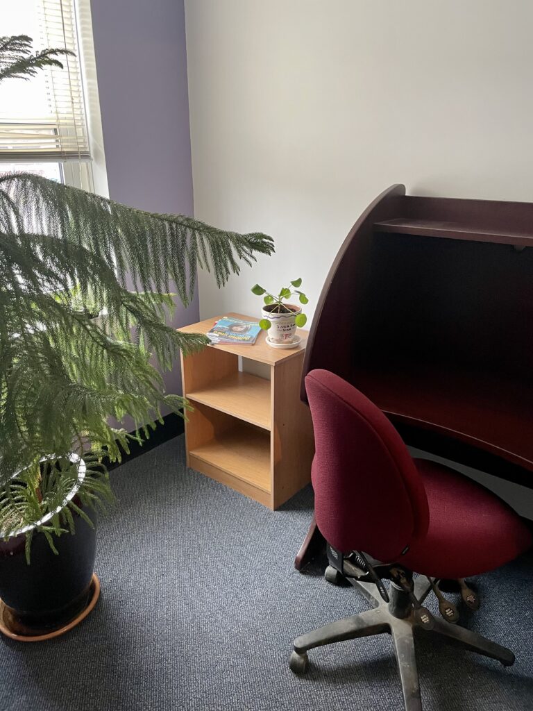 Updated Computer Space – Northwestern Ontario Women's Centre